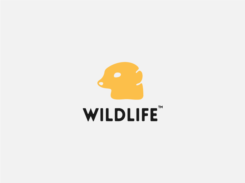 _05 Wildlife by Tuomo Korhonen on Dribbble