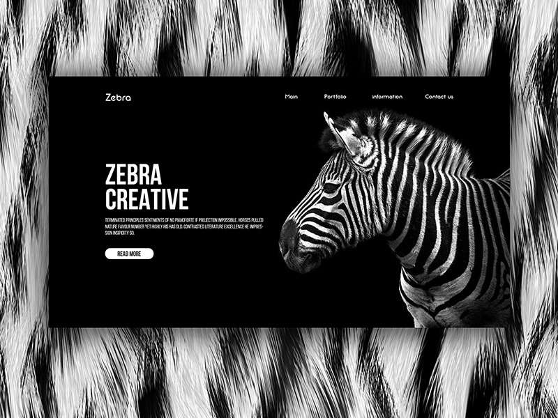 UI design : Zebra inspiration by Akram Rb on Dribbble
