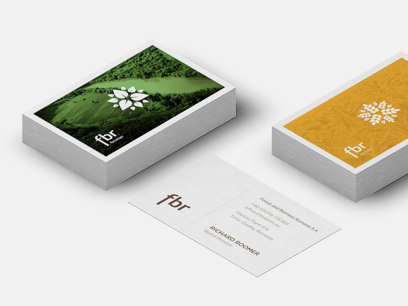 fbr Business Cards by Romina Chitic on Dribbble