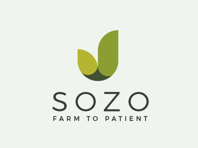 Logo design by Felix Baky on Dribbble