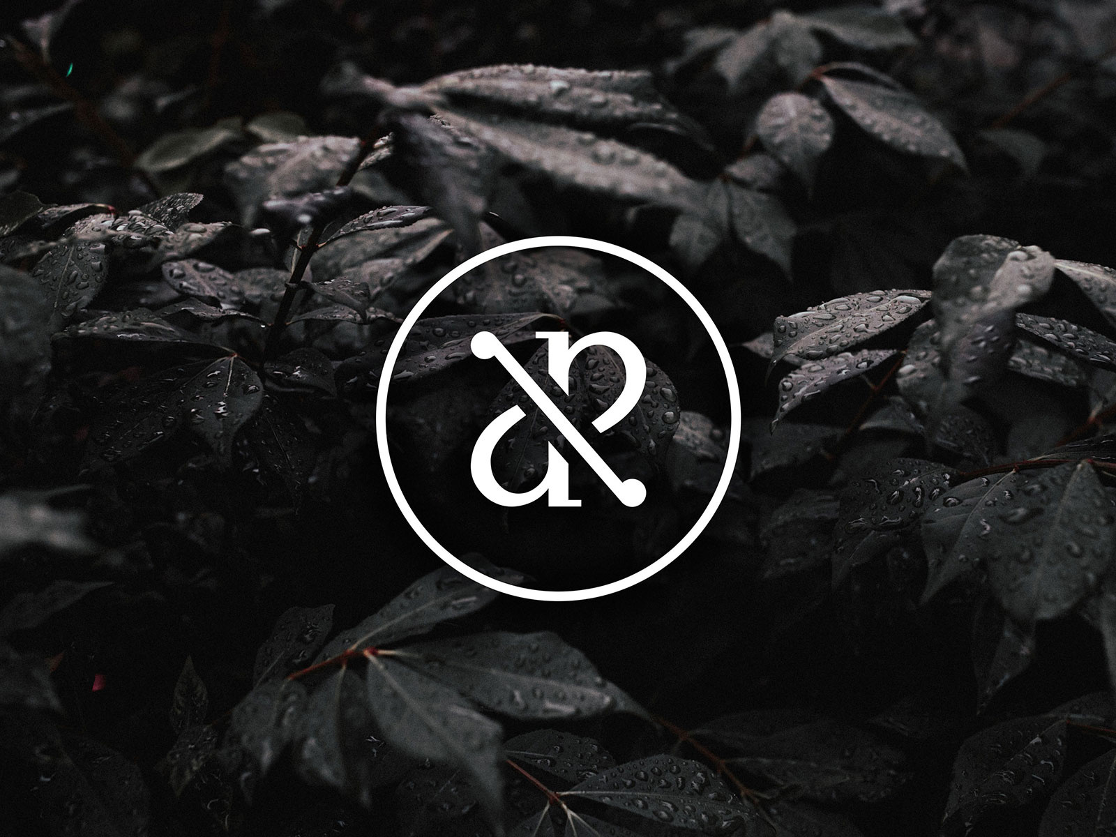 All Round Logo by Sophia V. on Dribbble