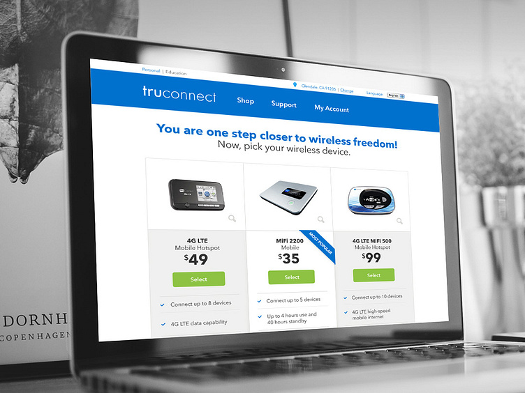 Truconnect Payment Page Design by Armen Petrosyan on Dribbble