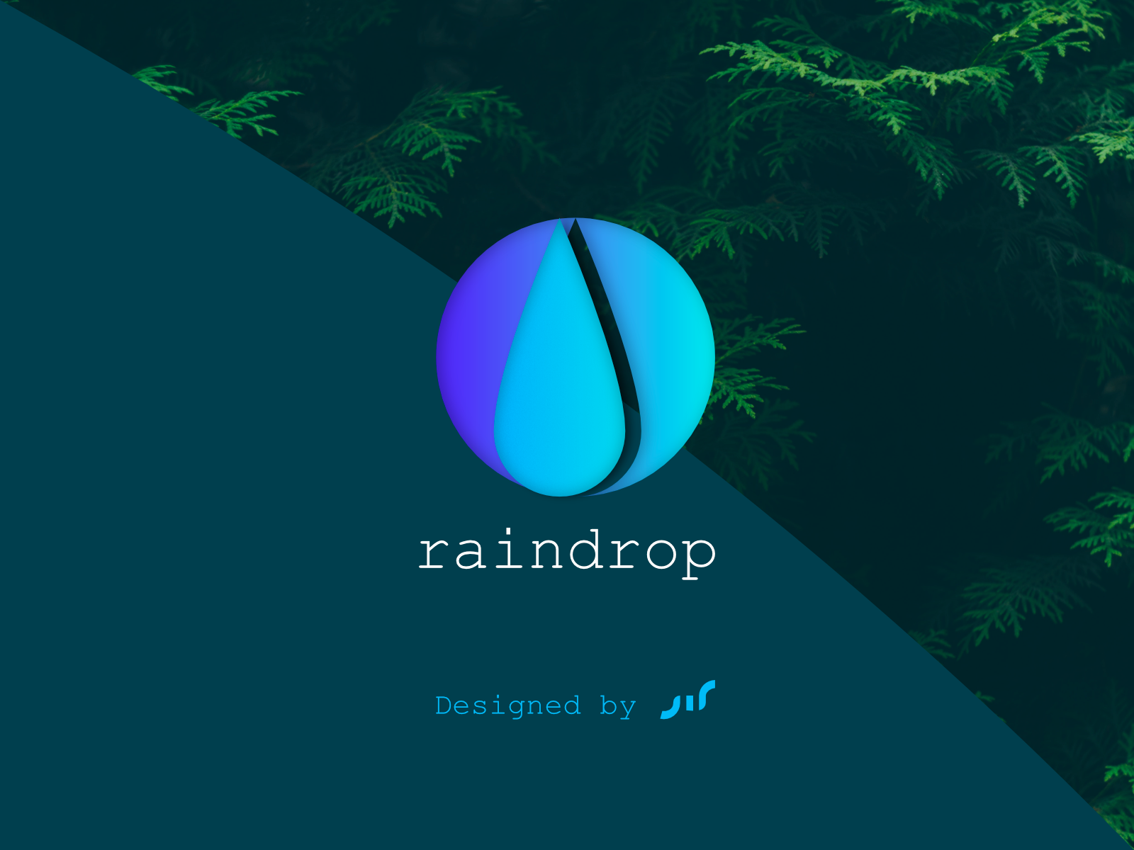 Raindrop logo design by matchless&simple on Dribbble