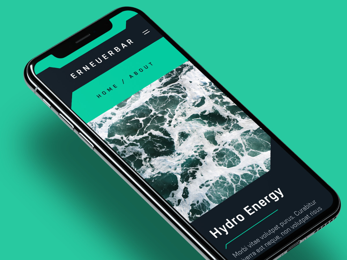 erneuerbar ui/ux design by Nicolae Chiorescu on Dribbble