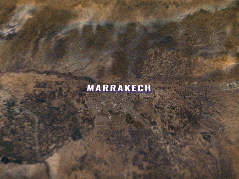 Argan Trees 3D Map by Space Laser on Dribbble