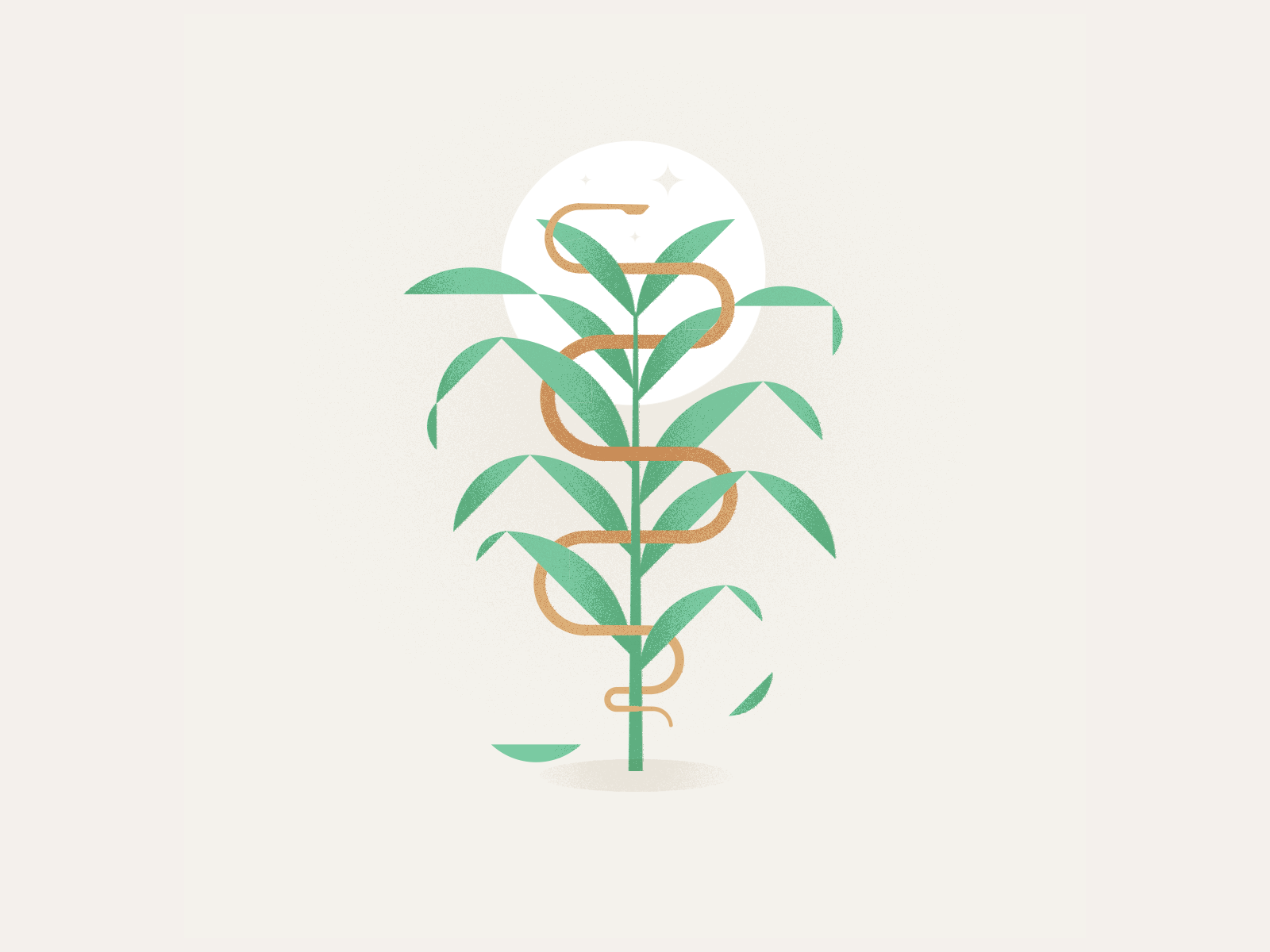 Snake in the grass by Jacob Rhoades on Dribbble