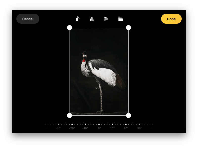 Browse thousands of Html Css images for design inspiration | Dribbble