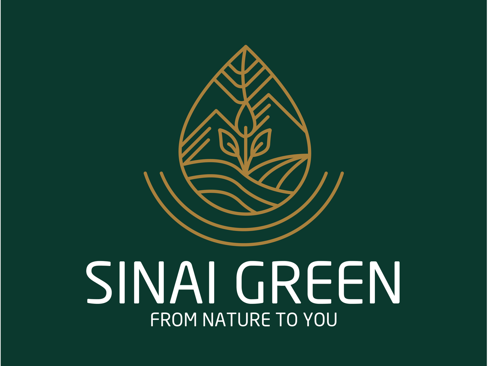Sinai Green Logo 01 by mostafa mtwly on Dribbble