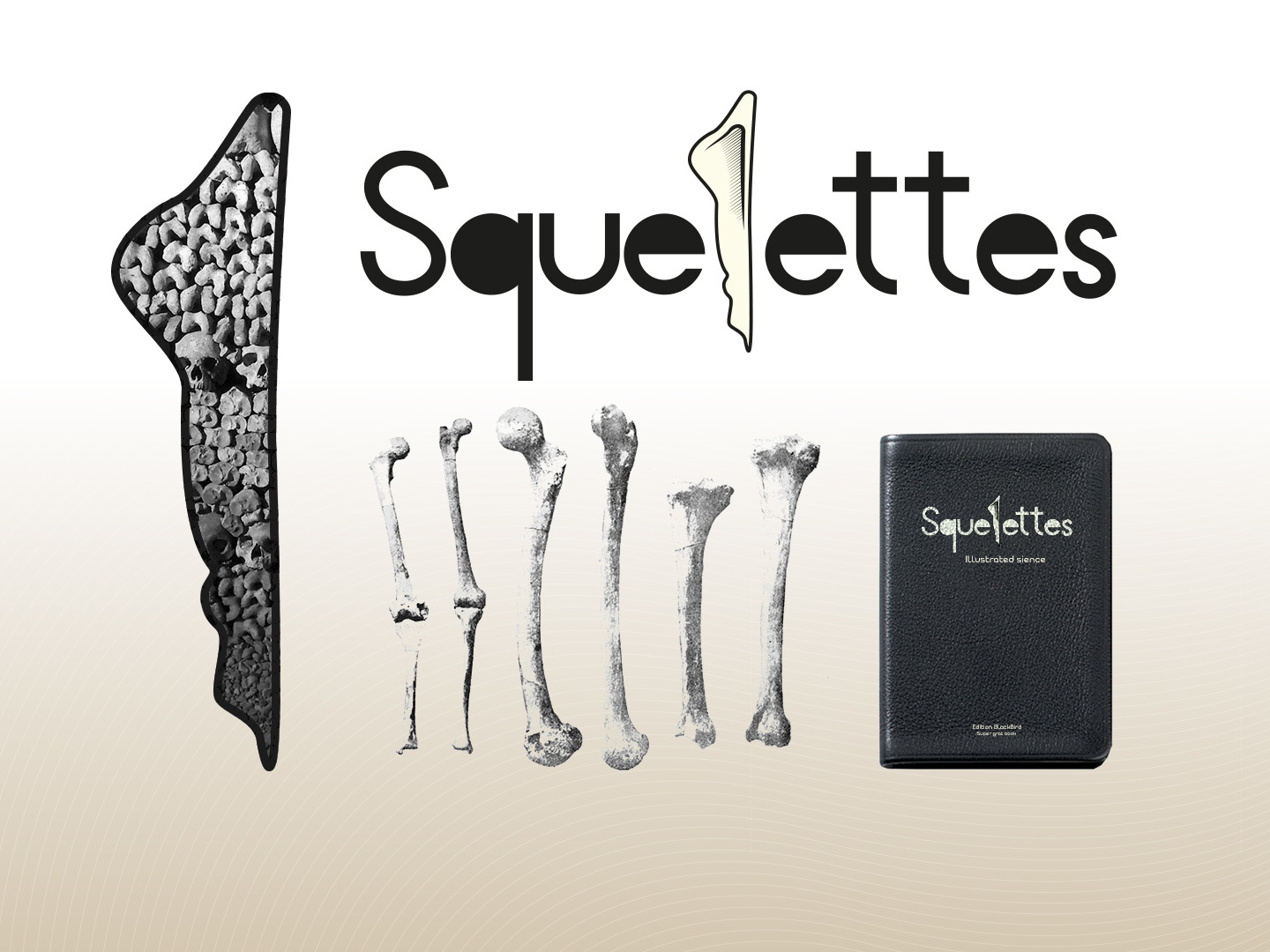 Squelettes by Mathieu Maigrot on Dribbble