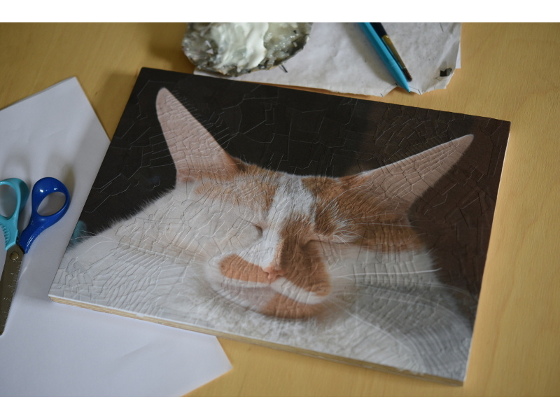 Charlie IX reposed, studio by Lola Dupre on Dribbble