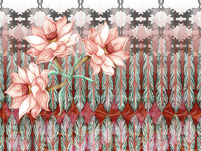 Misbah Anwar | Dribbble