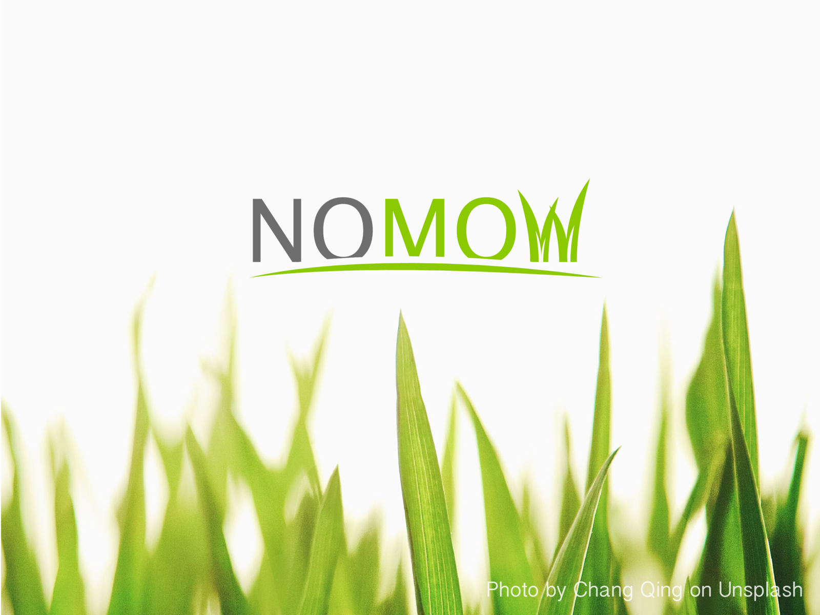 Nomow logo by Iya Vazovski on Dribbble