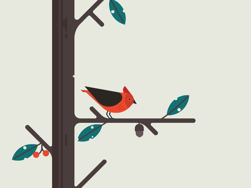 Browse thousands of Bird images for design inspiration | Dribbble