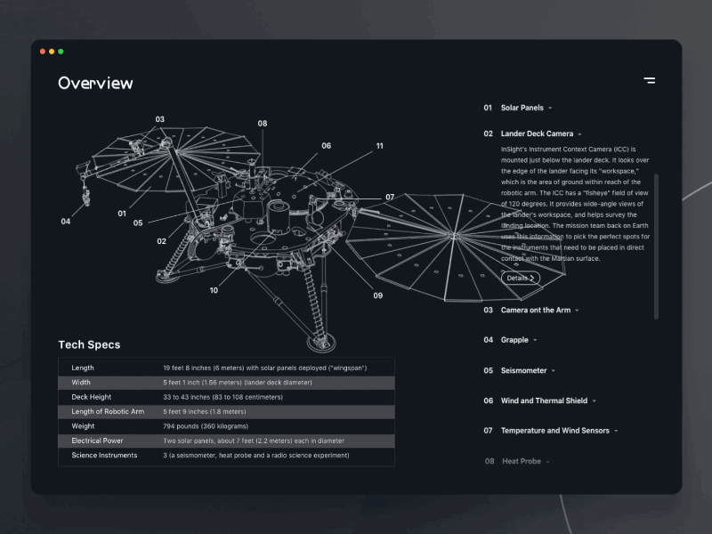 Insight Animation by Yue Yang on Dribbble