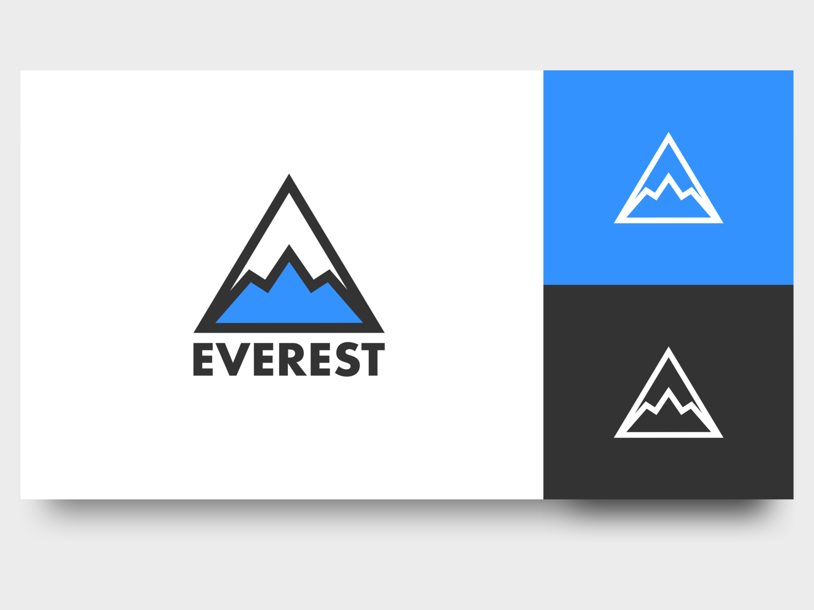 Everest Logo by Sumit Wagh on Dribbble