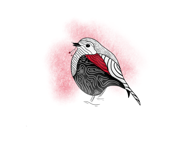 Red Robin by Jarratt Isted on Dribbble