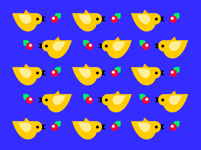 Browse thousands of Animated Bird images for design inspiration | Dribbble