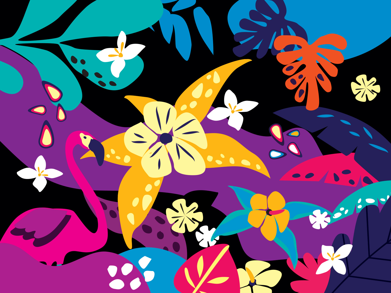 Black Vanilla Flavour by Valeria Skalytska on Dribbble