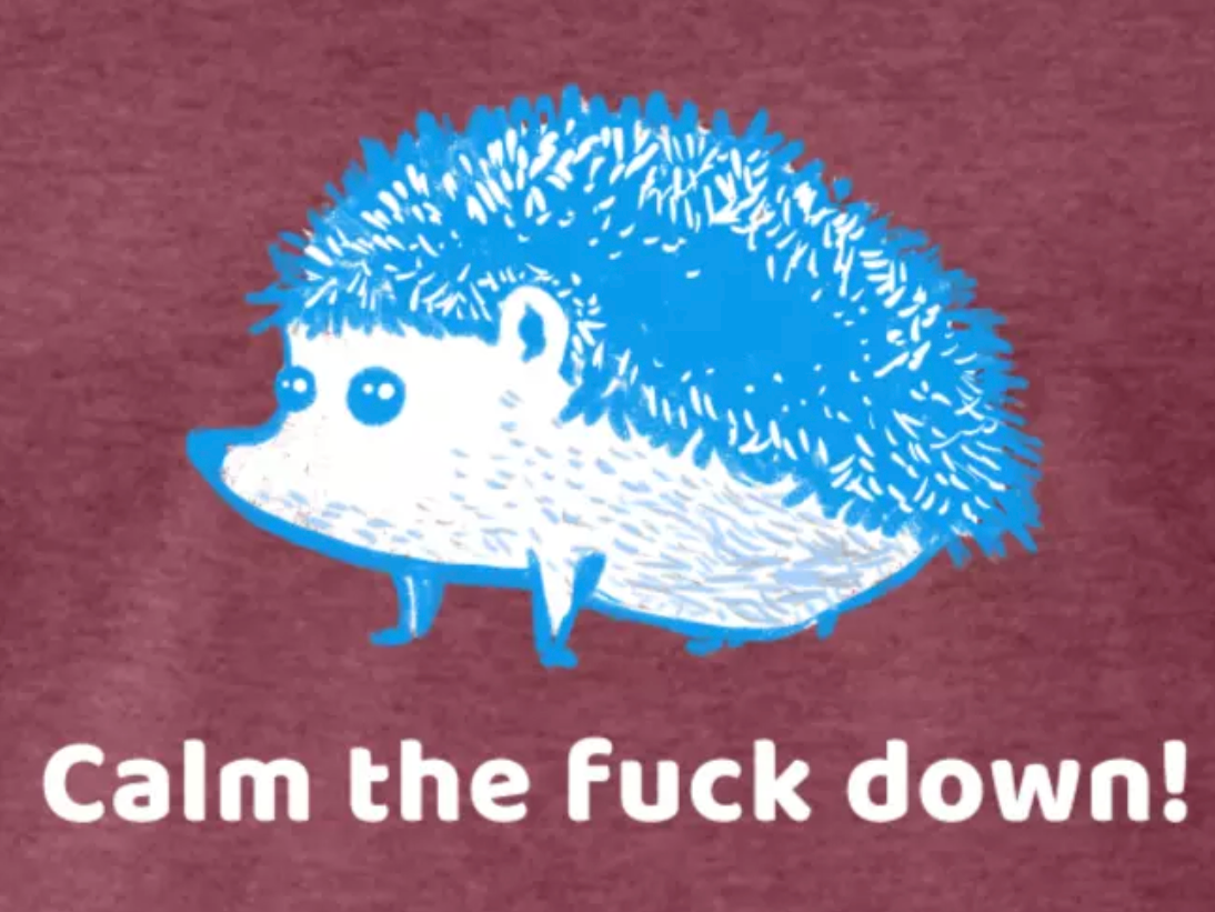 Calm Hedgehog by Mark Wilhelm on Dribbble
