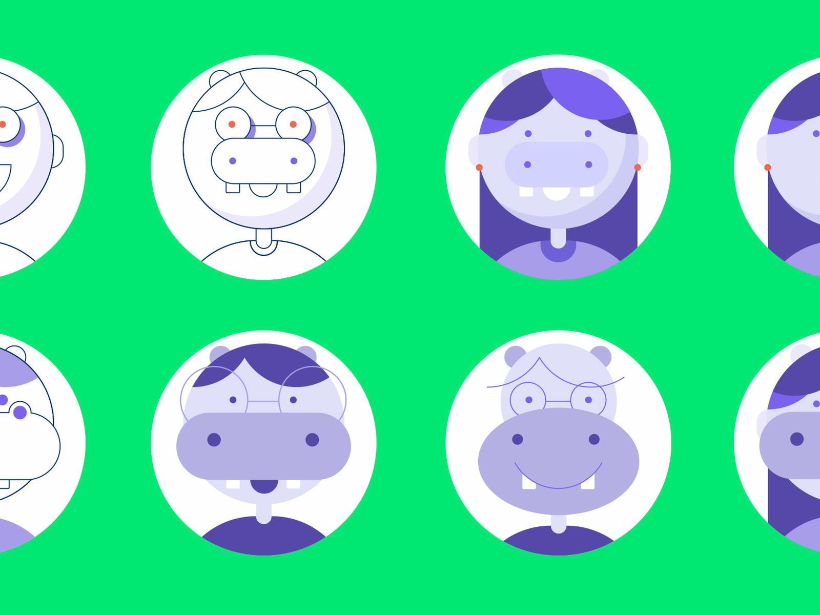 Hippo Insurance by Coco Creativo on Dribbble