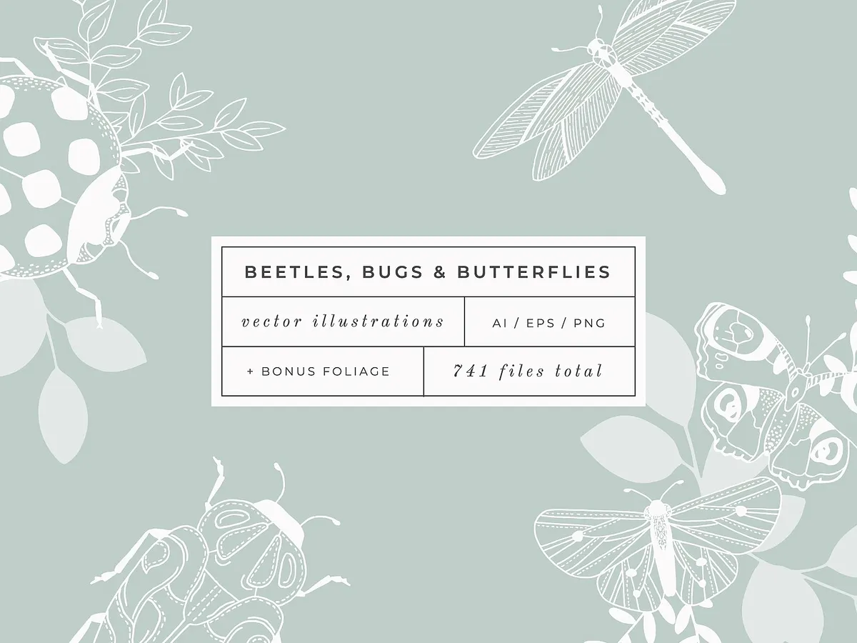 Beetles Illustrations designs, themes, templates and downloadable ...
