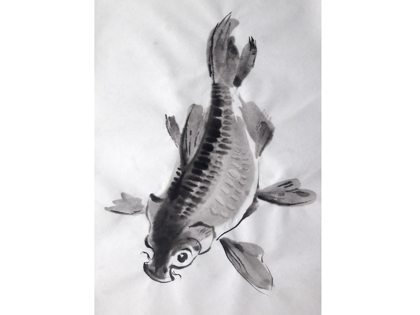 Carp going deep in the water by Olga Gerasina on Dribbble