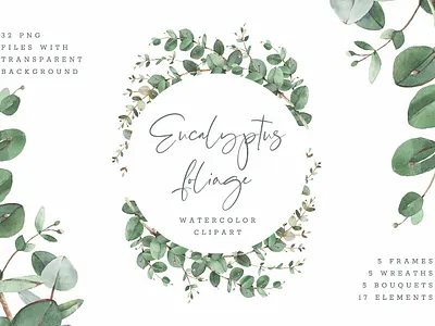 Eucalyptus Flowers designs, themes, templates and downloadable graphic ...