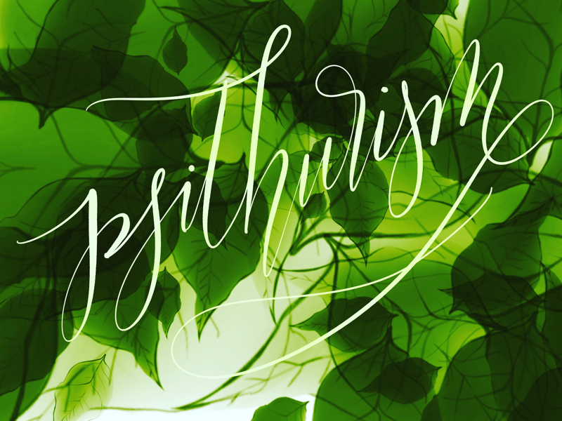 Psithurism by Alma Hoffmann on Dribbble