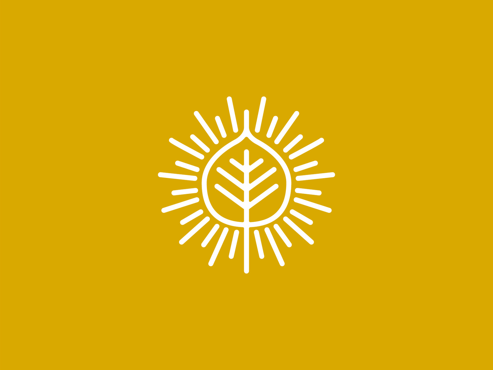 bodhi leaf by alexander michalko on Dribbble