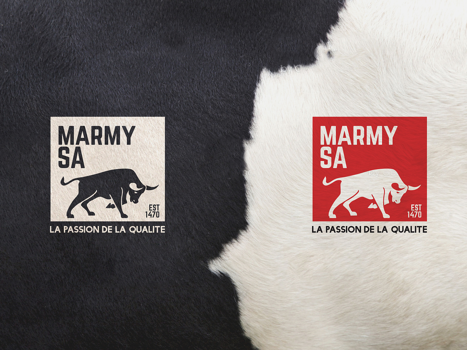 Marmy sa logo by Med mansour on Dribbble