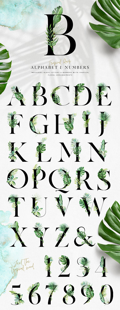 Alphabet Design Kit designs, themes, templates and downloadable graphic ...