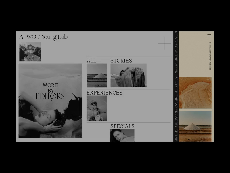 A+WQ / Young Lab Menu Hover Animation by Zhenya Rynzhuk for Synchronized on Dribbble