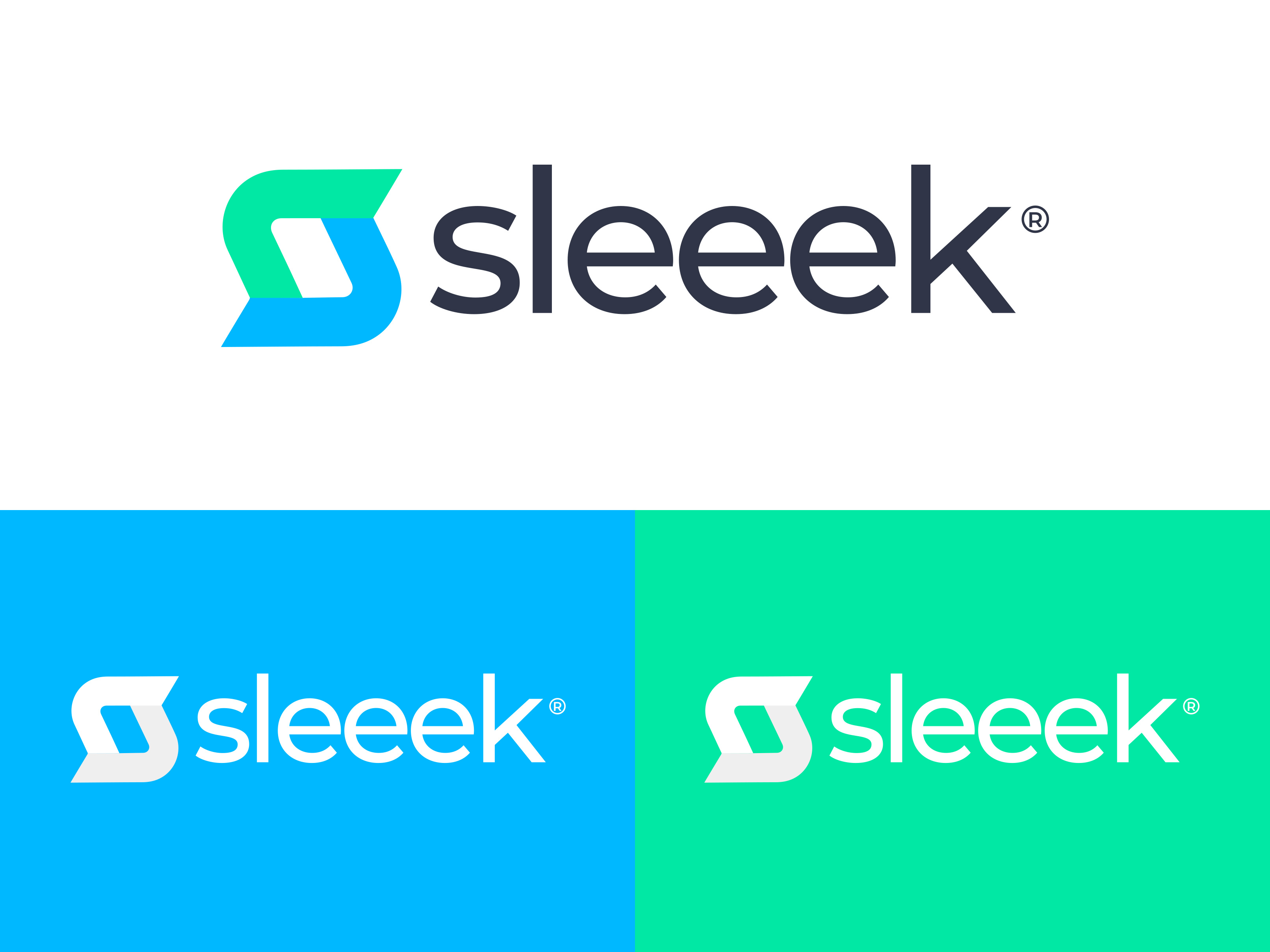 Sleeek Logo Design by Saymon Studio on Dribbble