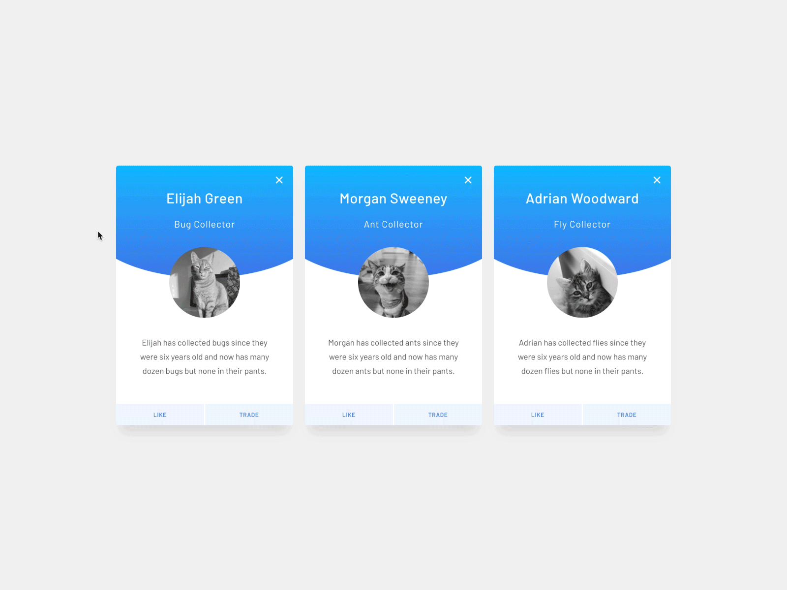 UI Cards Interaction by Rafaela Lucas on Dribbble