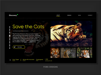 Discovery ui interface by Fabusuyi Oluwatobi on Dribbble