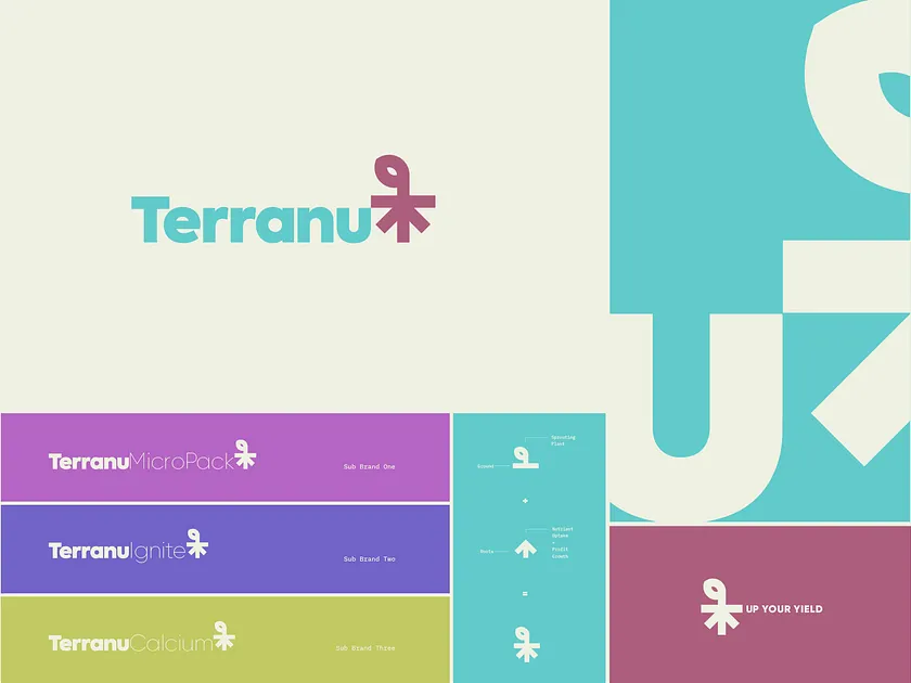 CarTrust™ by Jason Courtney on Dribbble