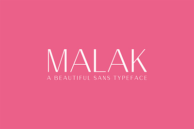 Editorial Font designs, themes, templates and downloadable graphic ...