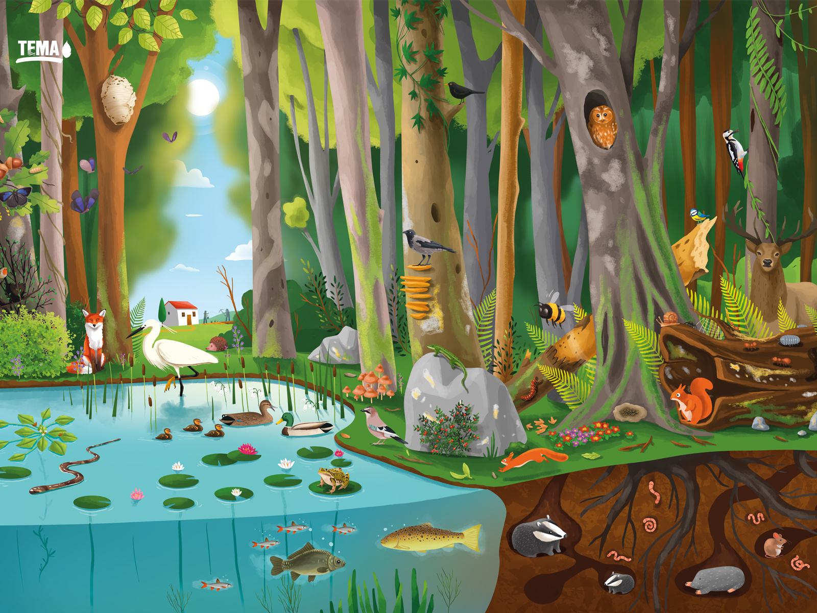 Tema poster🌳2 by Eren Dedeleroglu on Dribbble