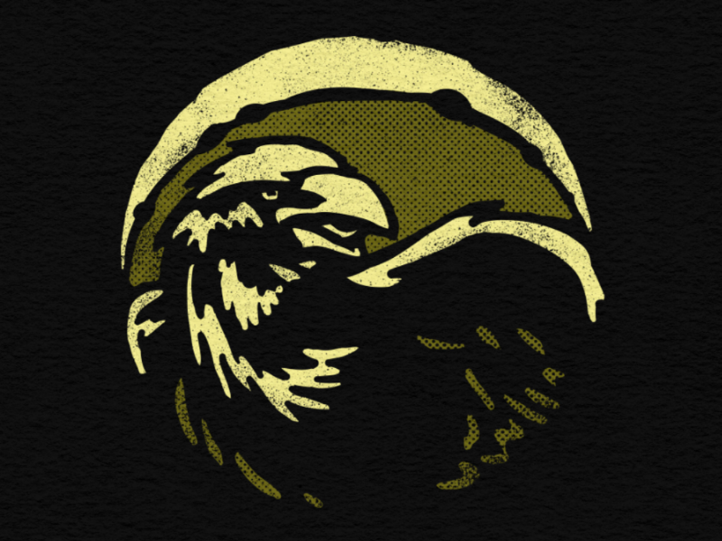 Moonlight Raven by Andy J. DuFort on Dribbble