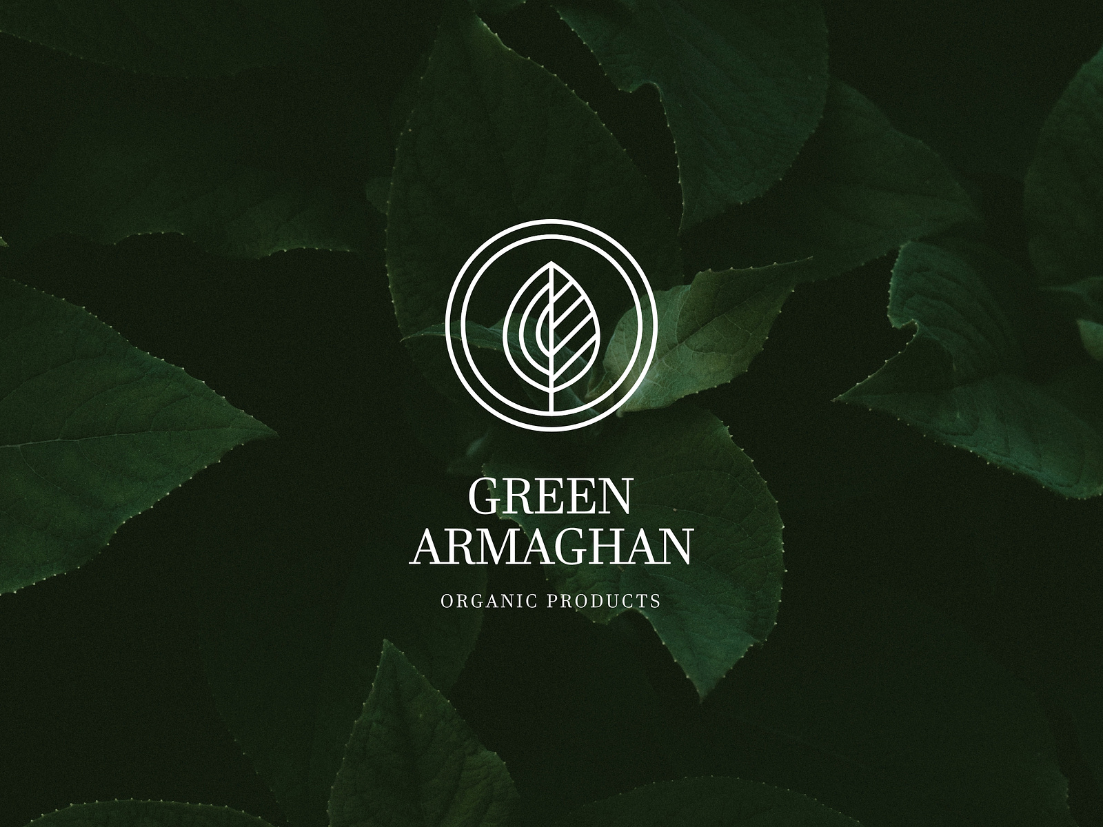 Green Armaghan Logo / Branding by Majid Rangraz on Dribbble