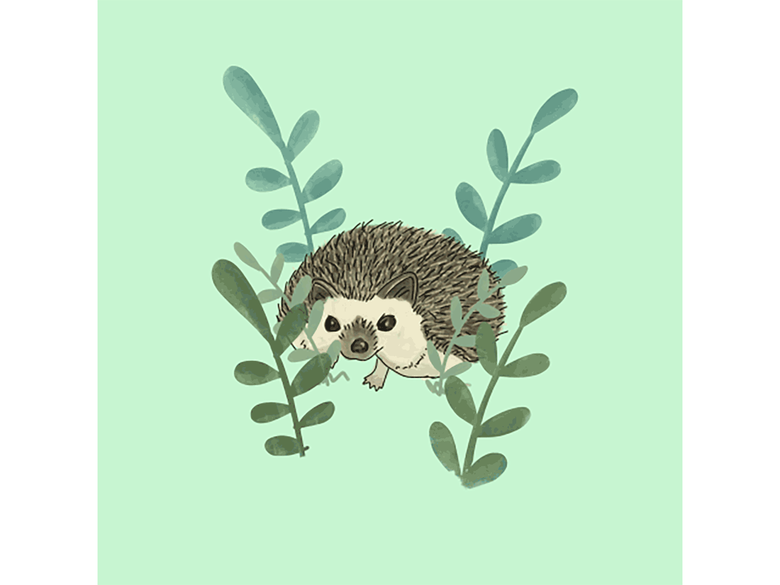 Hedgehog Animated Gif The Hedgehog Yawns By StrangersWarehouse - Fur