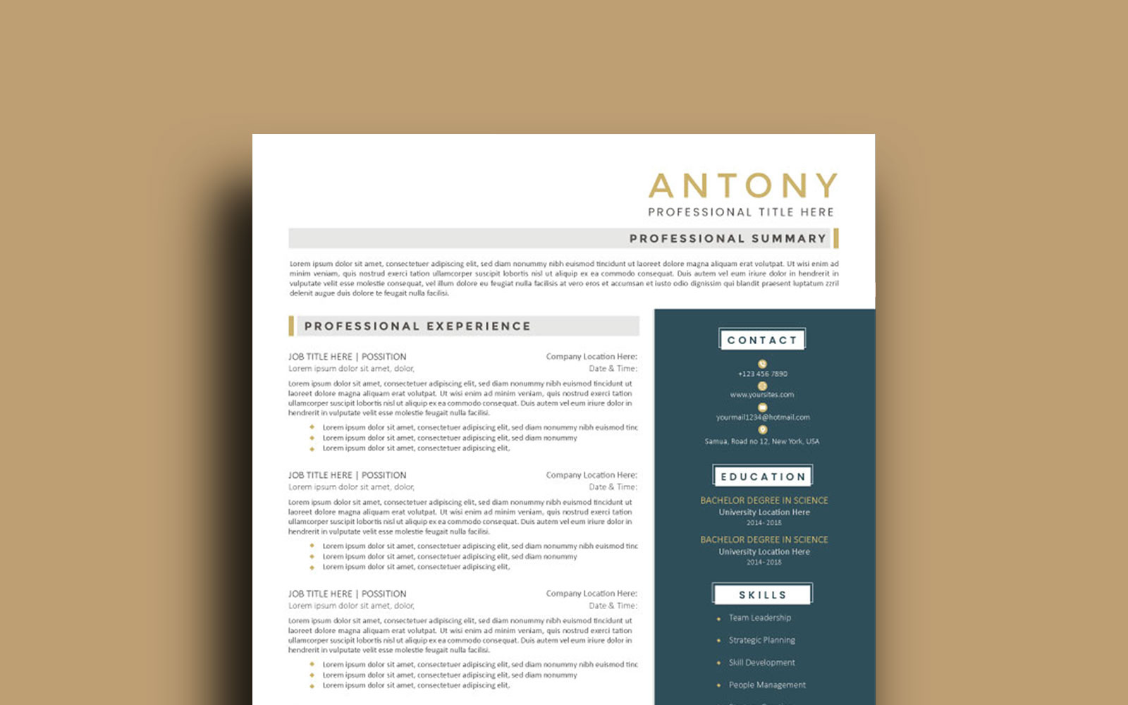 Professional, Modern Resume Design Template for Word by Paul resume on ...