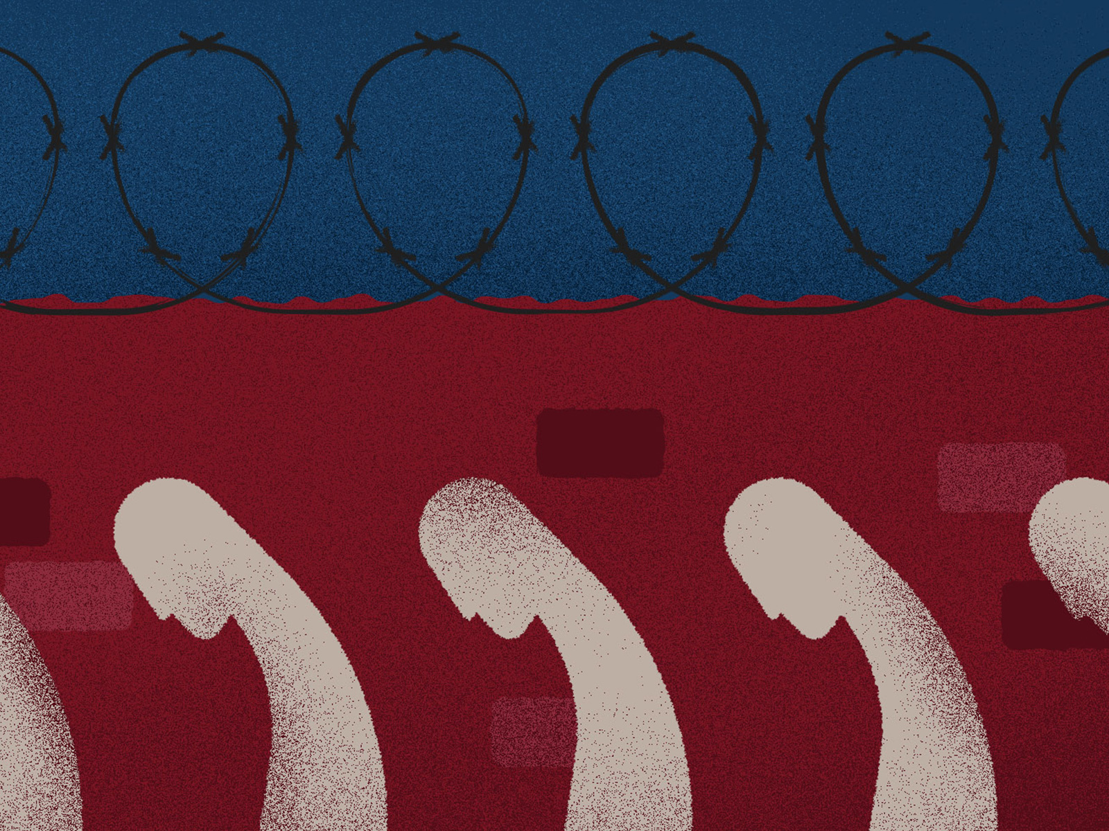 borders of democracy by Gui Zamarioli on Dribbble