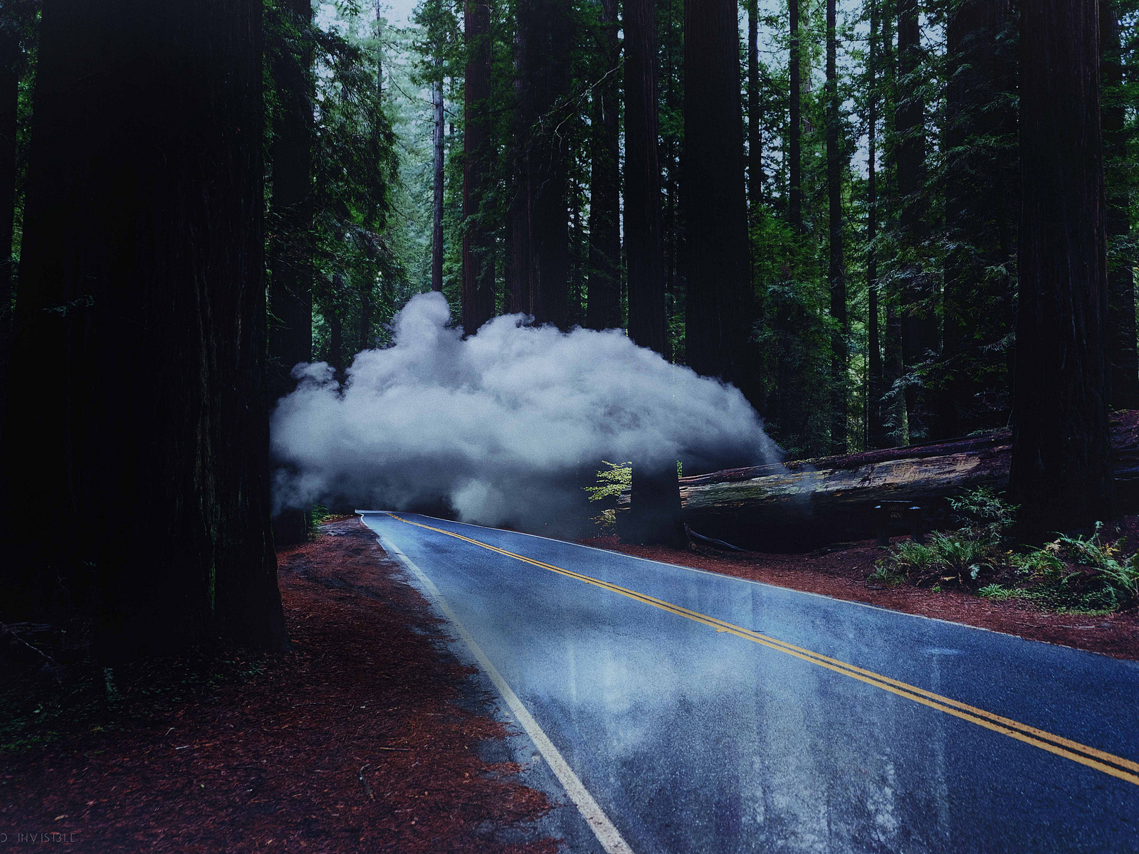 Cloud Matte Painting by Alba on Dribbble