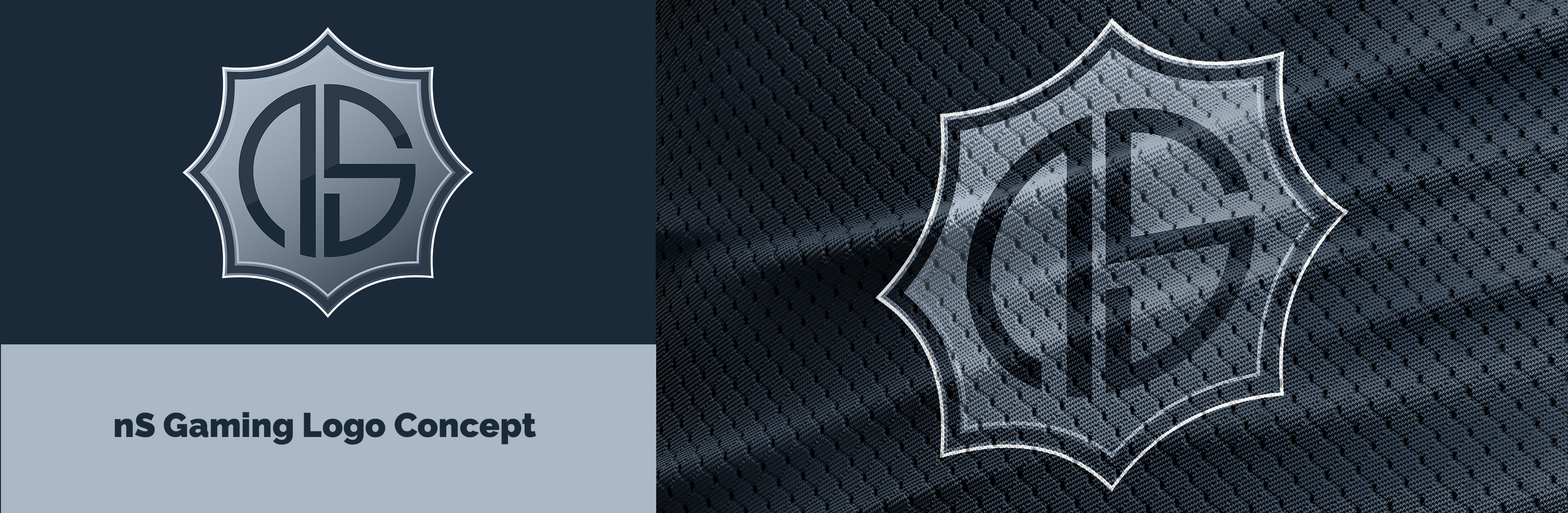 NS Team Logo Concept and Mockup by Aleksandar Josic on Dribbble