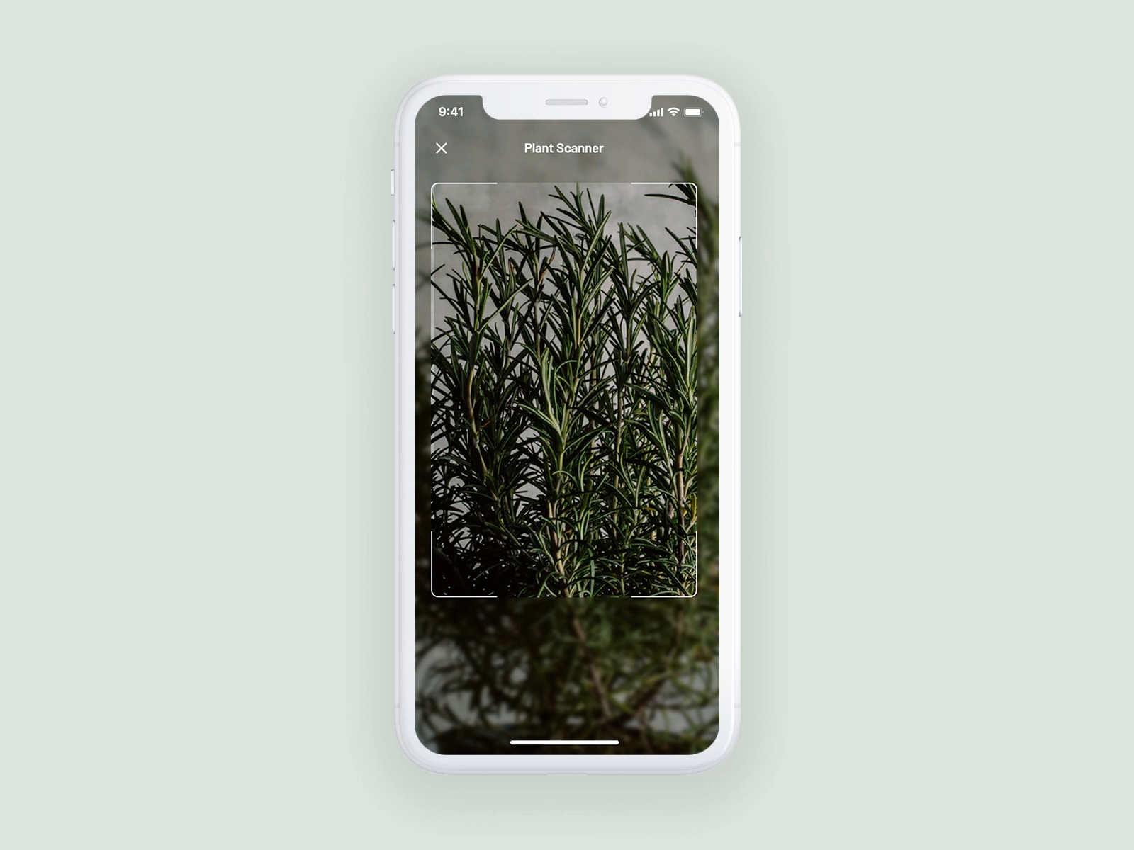 AI-Powered Plant Scanner by Sergiu Mara on Dribbble