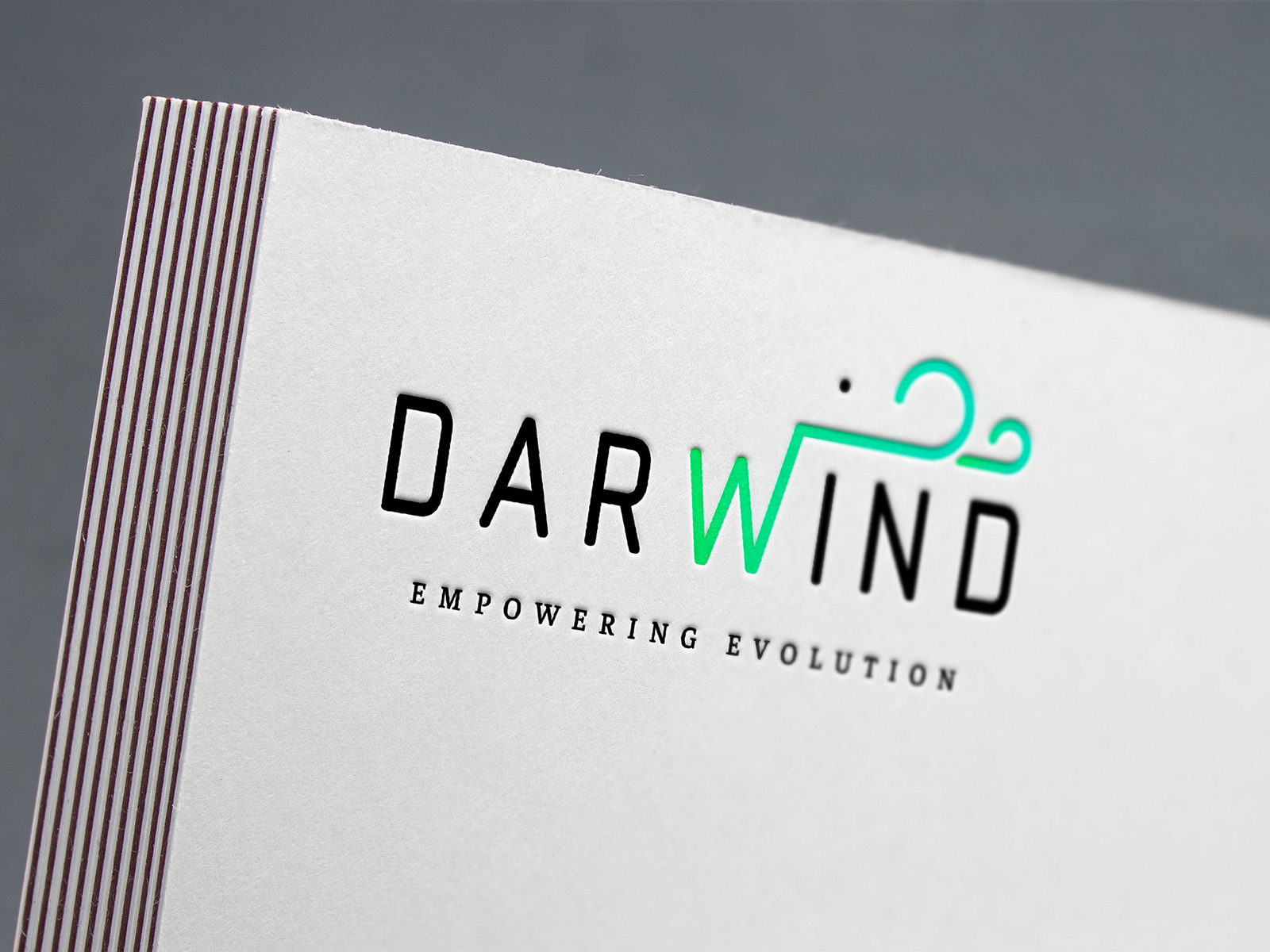 DarwinD logo by Mirkko on Dribbble
