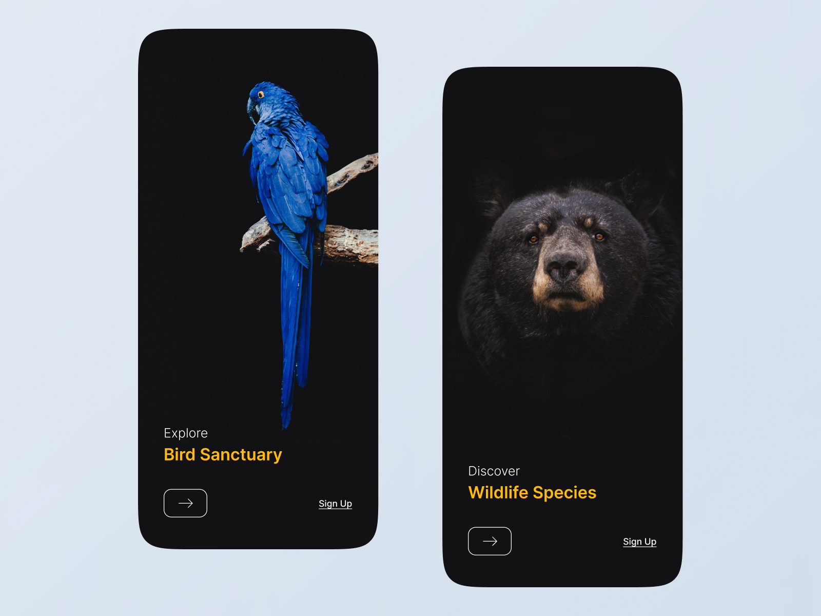 Wildlife App Concept - Explore Wild Animals by Codzgarage Infotech Pvt ...