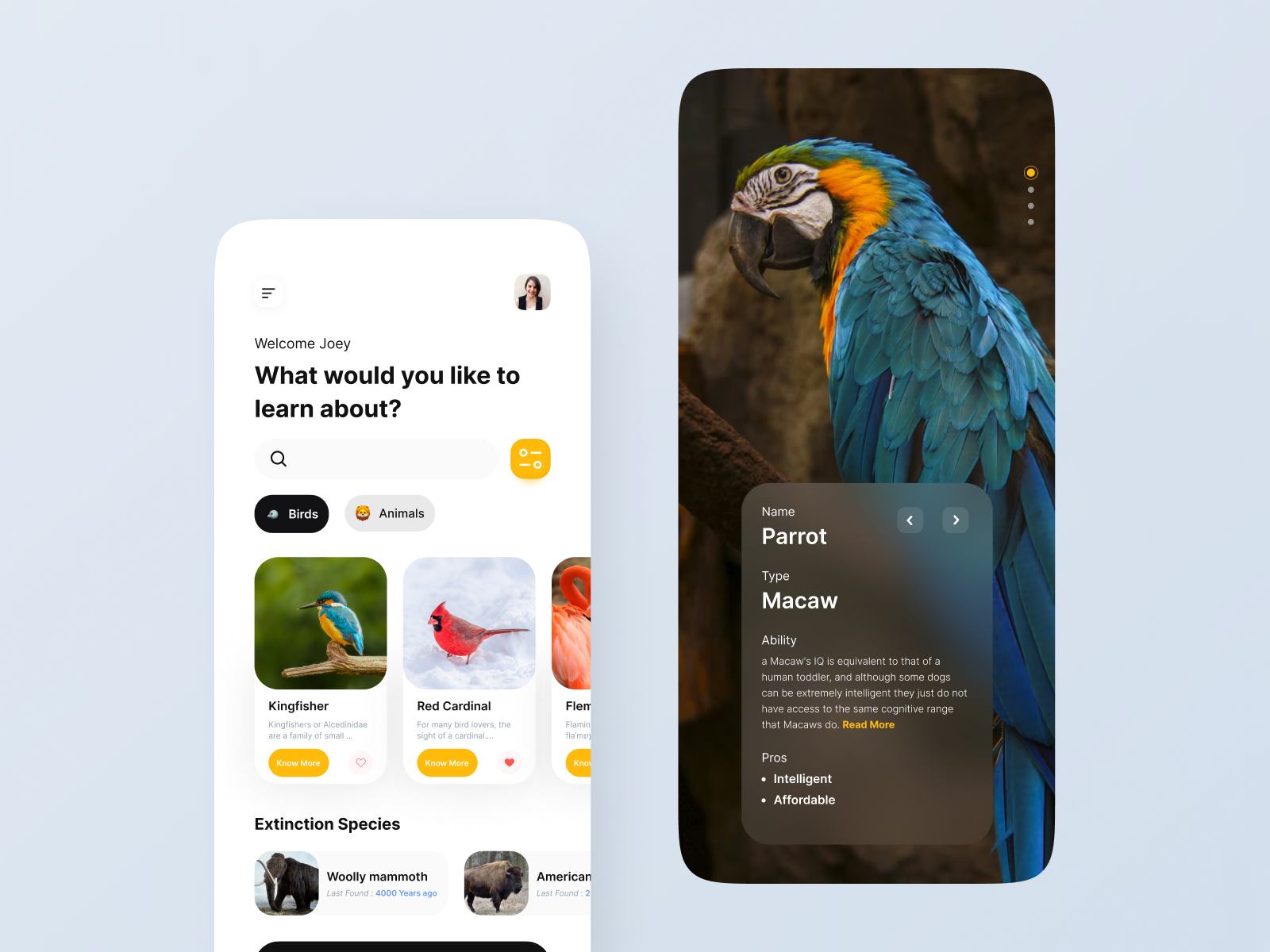 Wildlife App Concept - Explore Wild Animals by Codzgarage Infotech Pvt ...