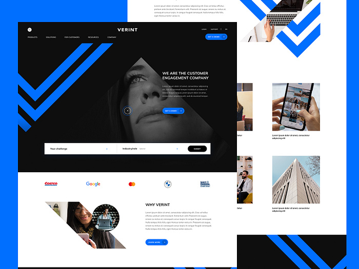 Elegant Seagulls | Dribbble